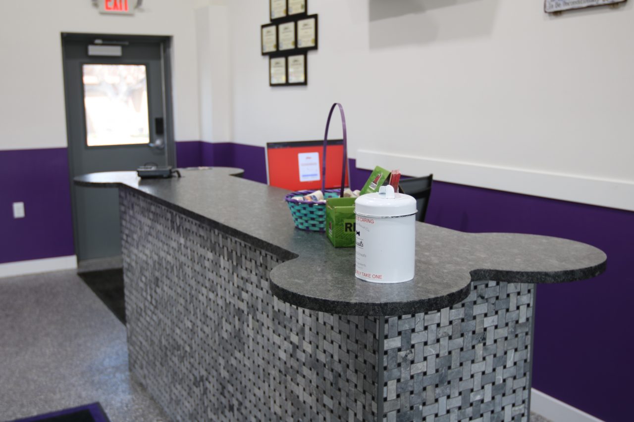 Dog Bone Reception Desk: Welcoming Dogs with Style - Casper's Kitchen ...
